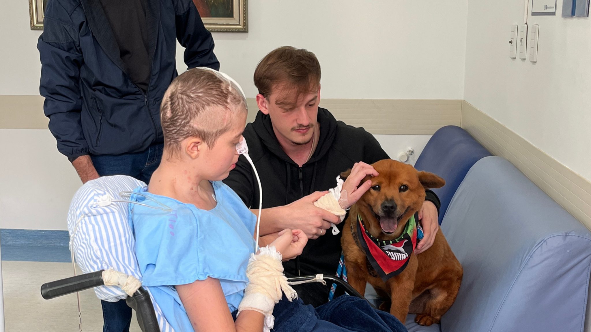 Visita de cão de estimação emociona paciente na UTI - Hospital ...